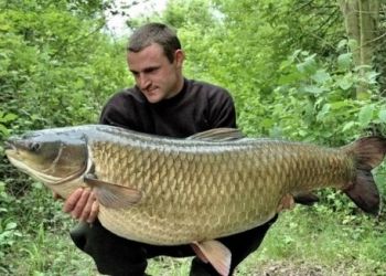 Белый амур: снасти и способы его ловли